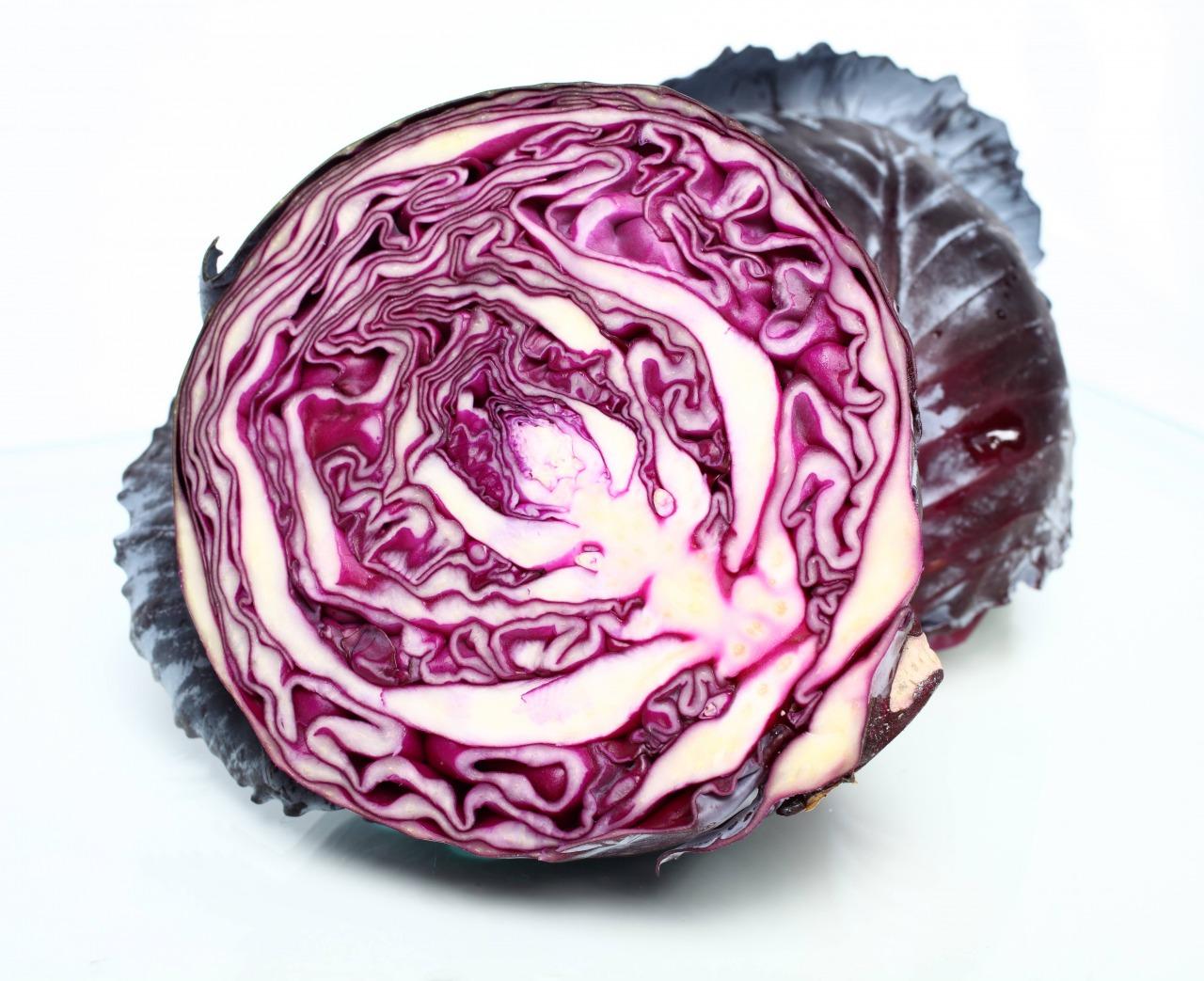 Rotkraut selbst gemacht » herzhafte Gerichte & Speisen