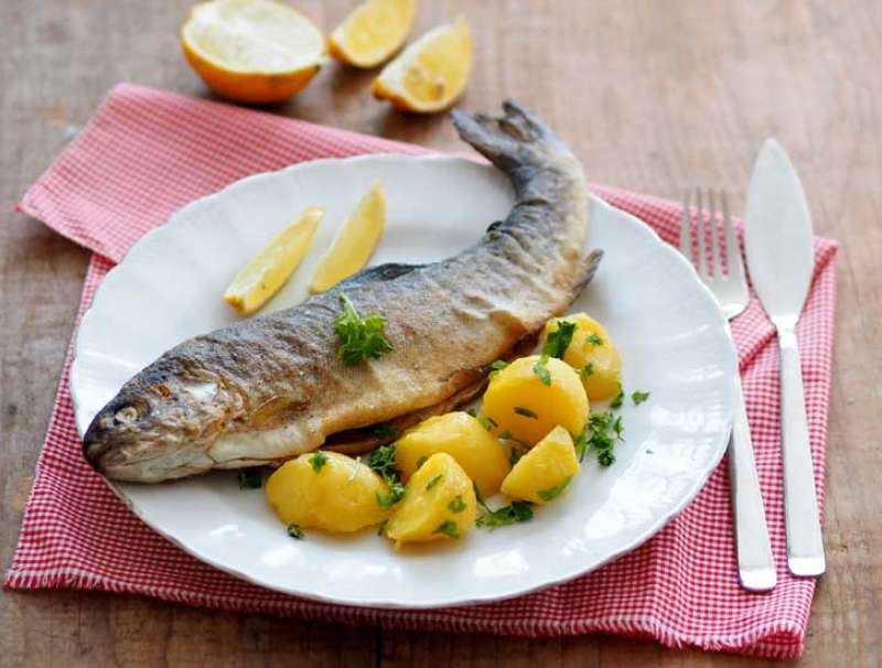 Gebratene Forelle » herzhafte Gerichte & Speisen