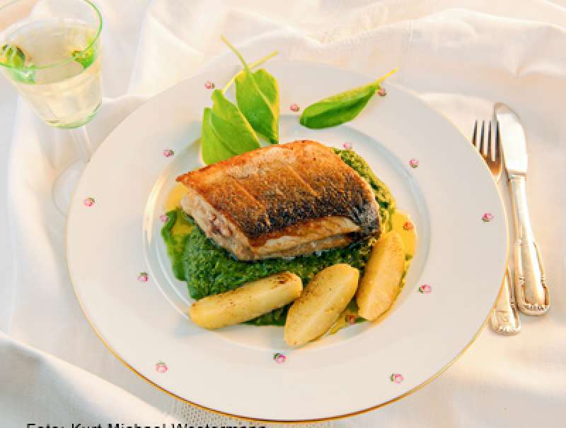 Gebratener Barsch » herzhafte Gerichte & Speisen