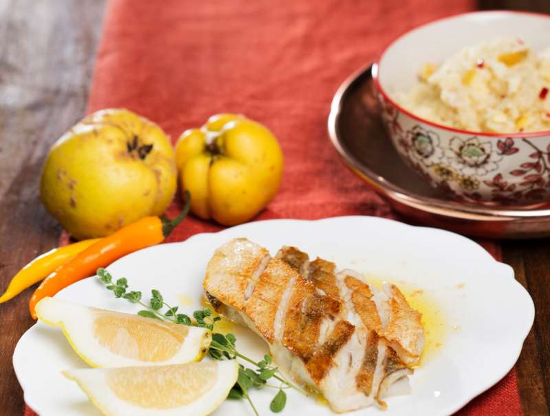 Zander » herzhafte Gerichte & Speisen