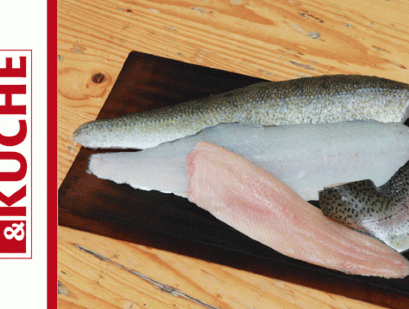 Fisch richtig filetieren » Kochrezepte von Kochen & Küche